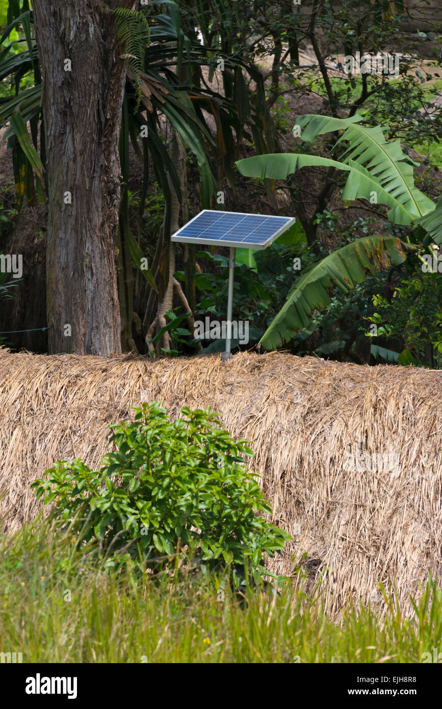 Solar panel on thatched roof of village house, Wamena, Papua, Indonesia ...