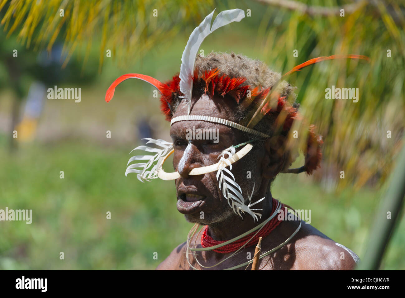Wamena festival hi-res stock photography and images - Alamy