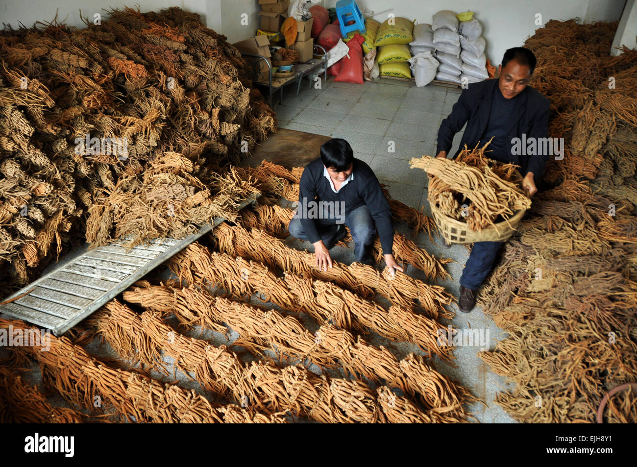 Yuan wenbin hi-res stock photography and images - Alamy