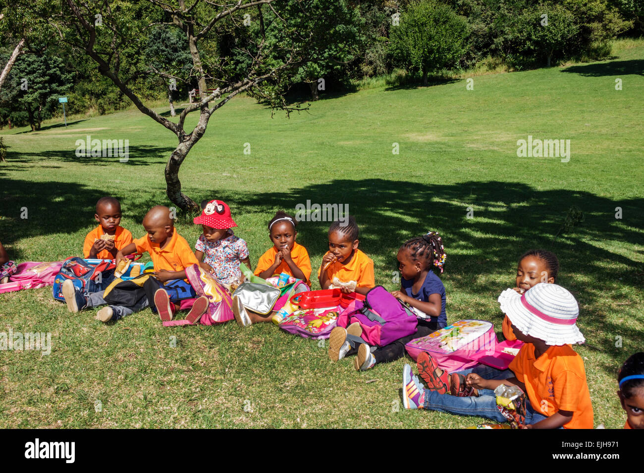 Johannesburg South Africa,African Roodepoort,Walter Sisulu National ...