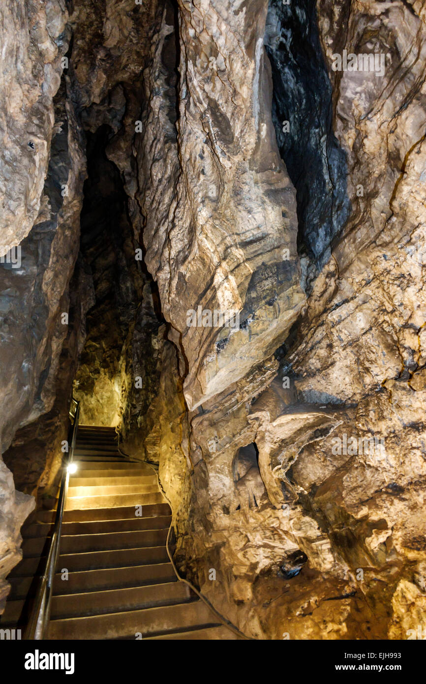 Johannesburg South Africa,Muldersdrift,Sterkfontein Caves,hominin ...