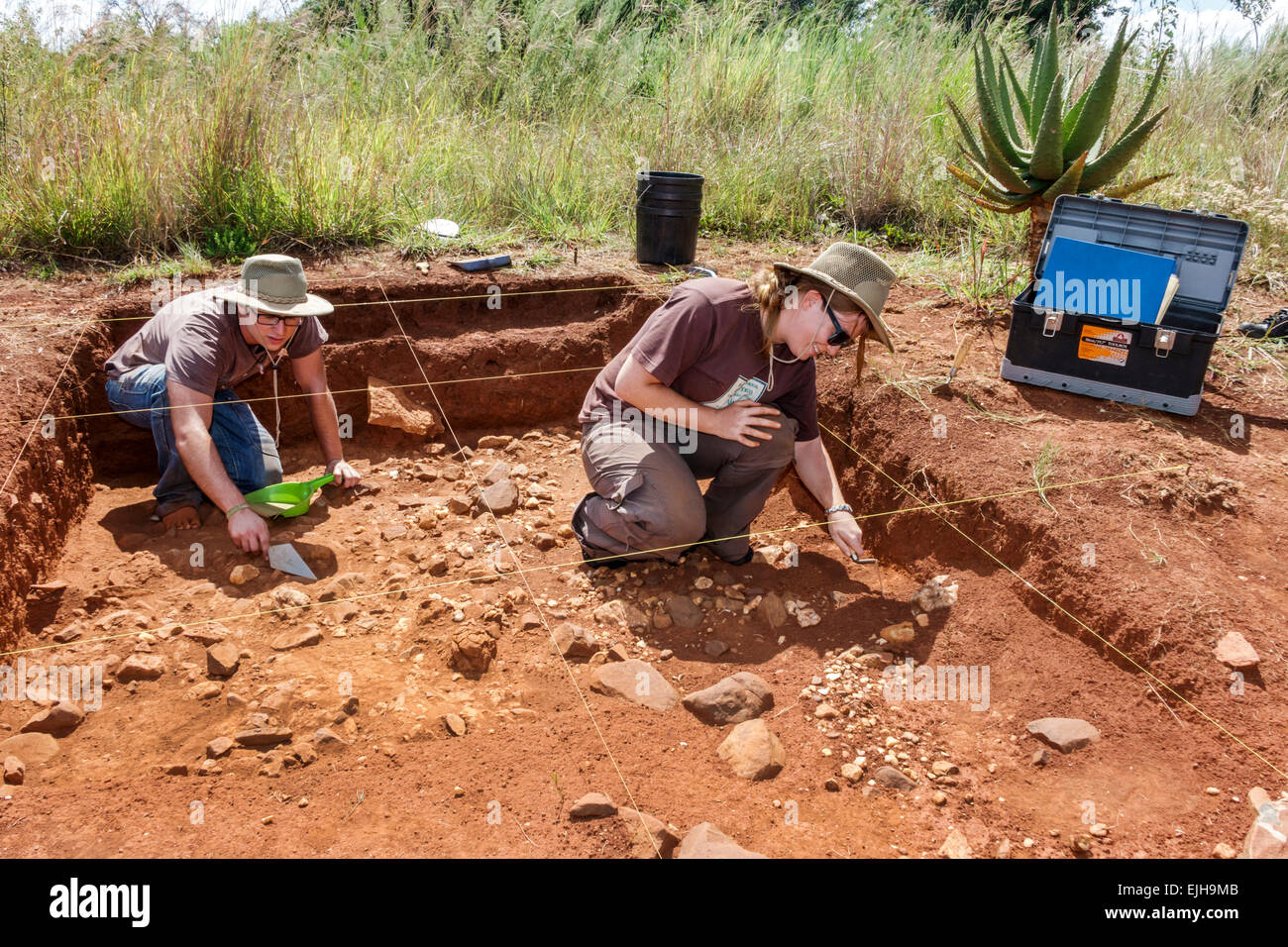 Johannesburg Cradle Of Humankind High Resolution Stock Photography and ...