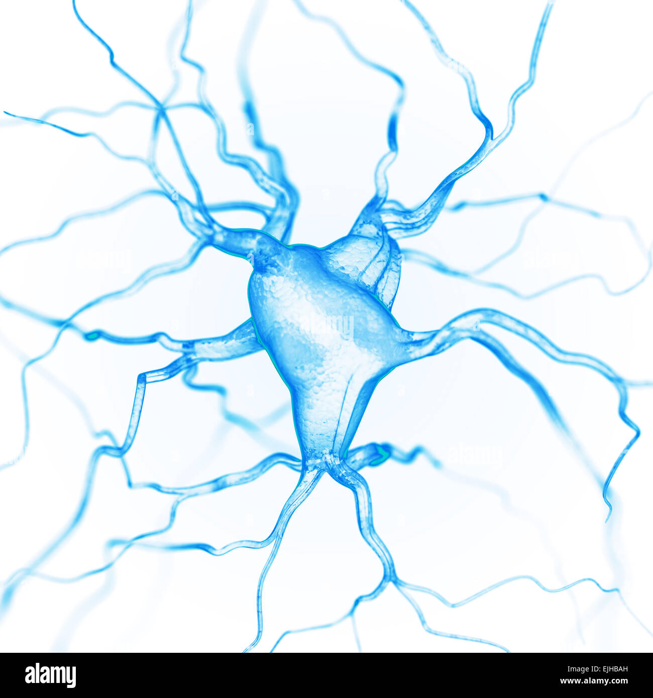 Human neuron hi-res stock photography and images - Alamy