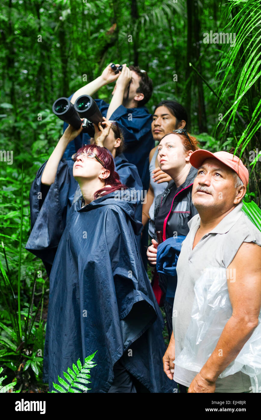 Group Of Tourist In Ecuadorian Amazon Primary Jungle Looking After ...