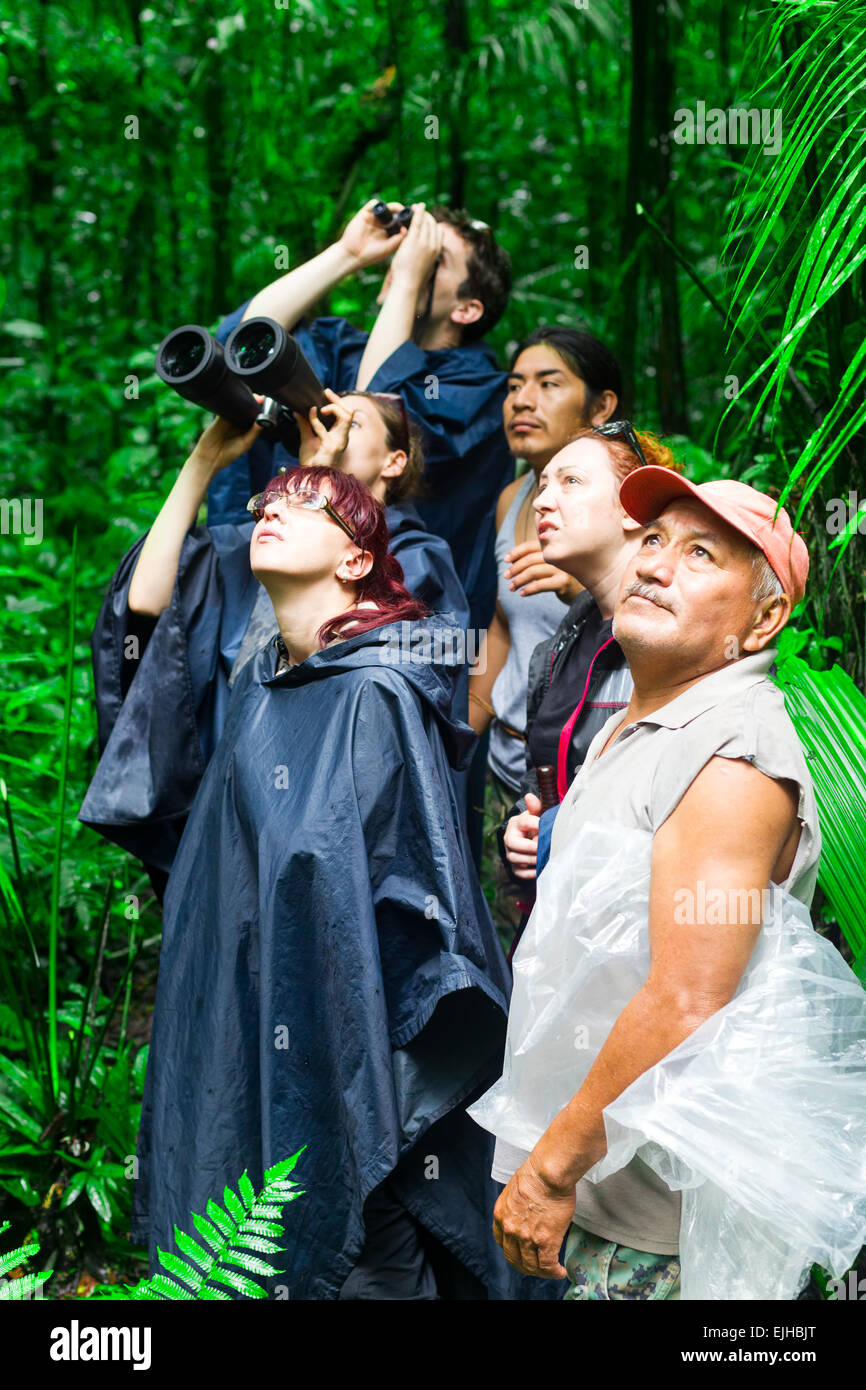 Group Of Tourist In Ecuadorian Amazon Primary Jungle Looking After ...