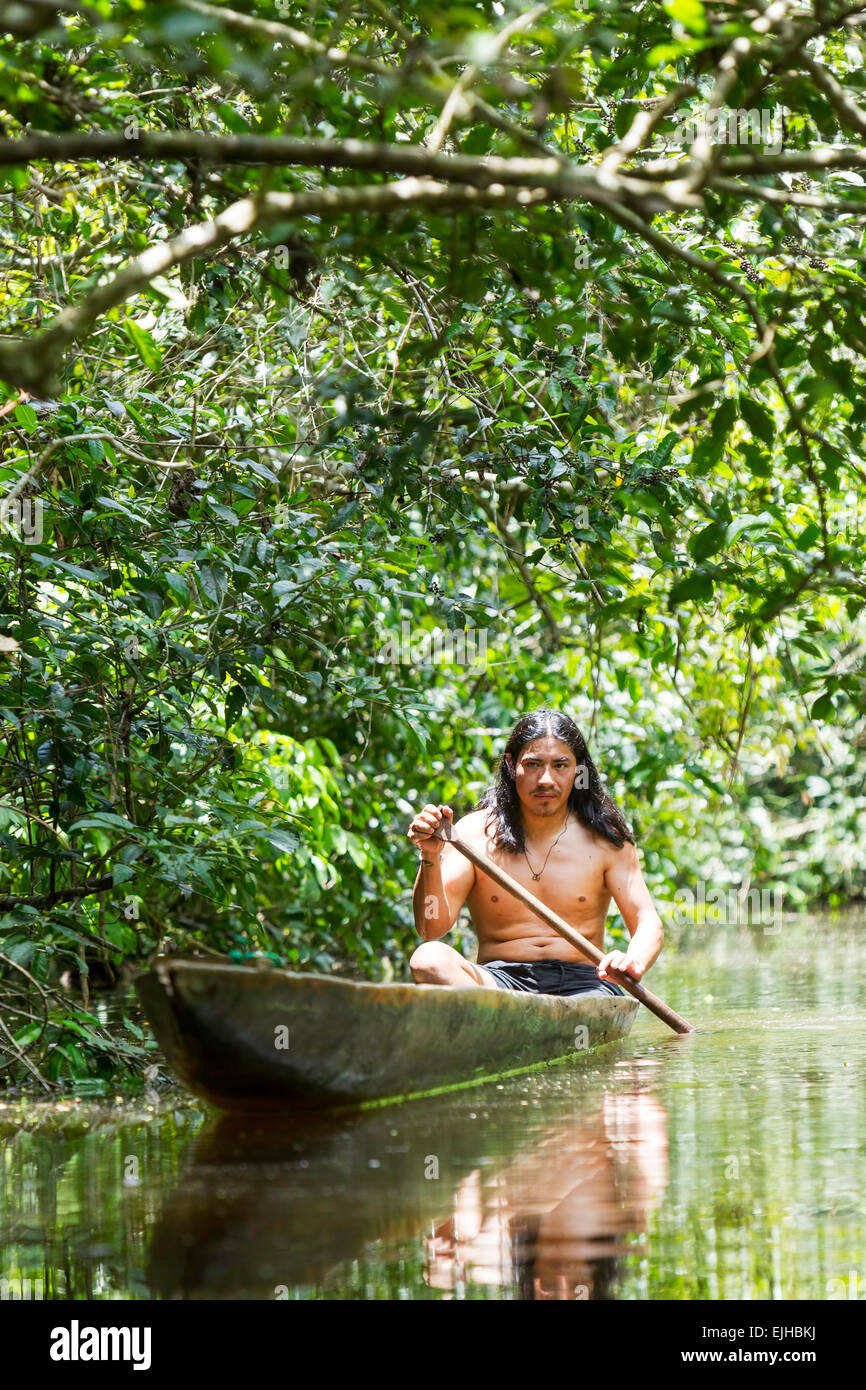 Amazon rainforest indigenous use hi-res stock photography and images ...