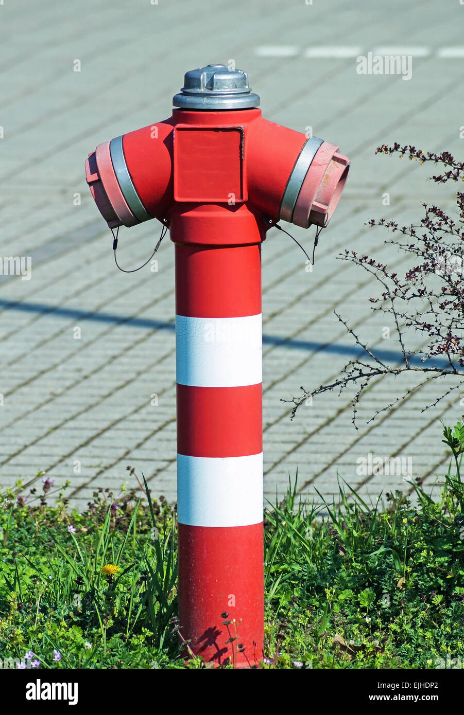 Fire hydrant on the street Stock Photo - Alamy