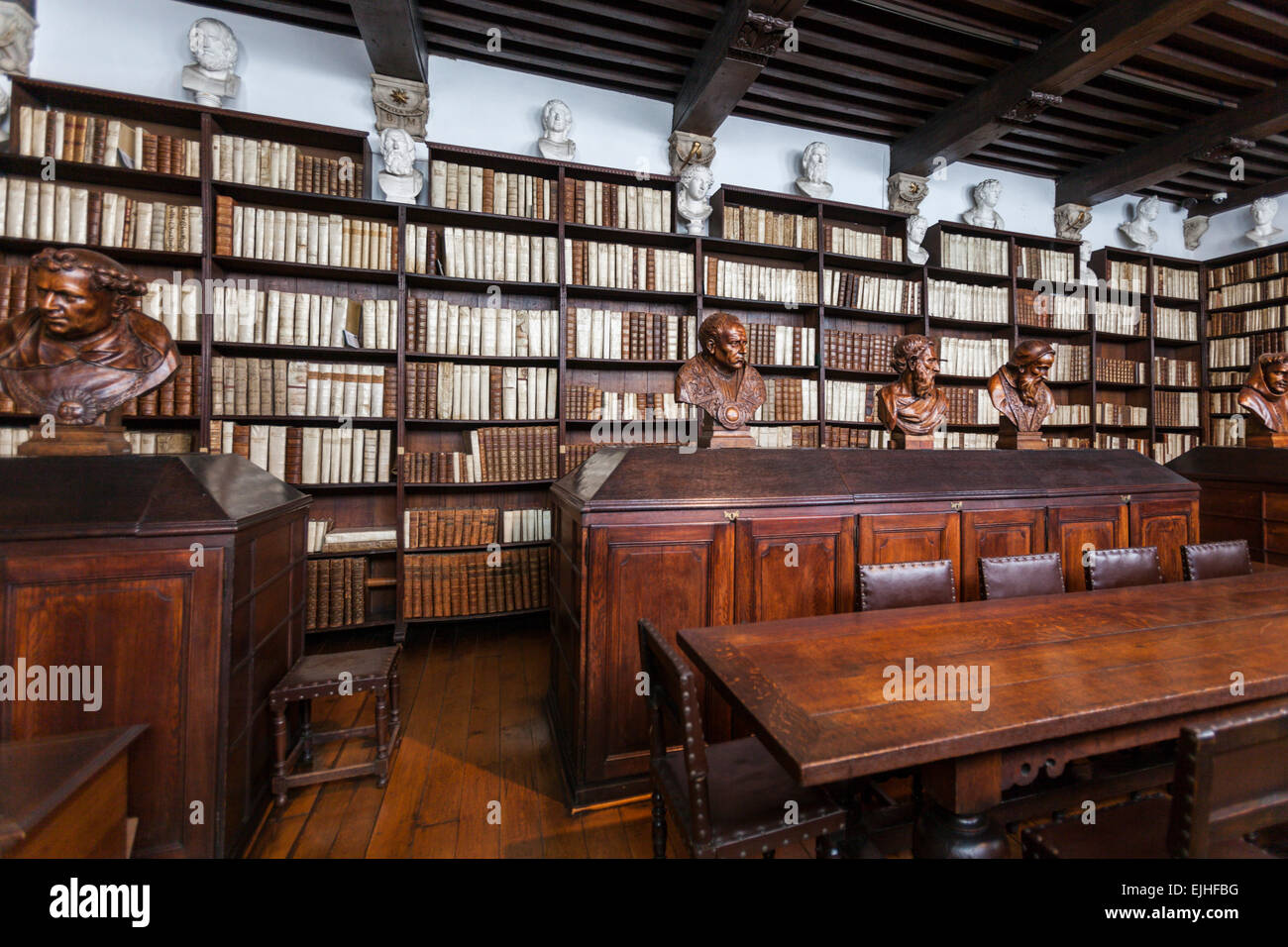 Library, carved busts, and ancient books, Plantin-Moretus Museum ...