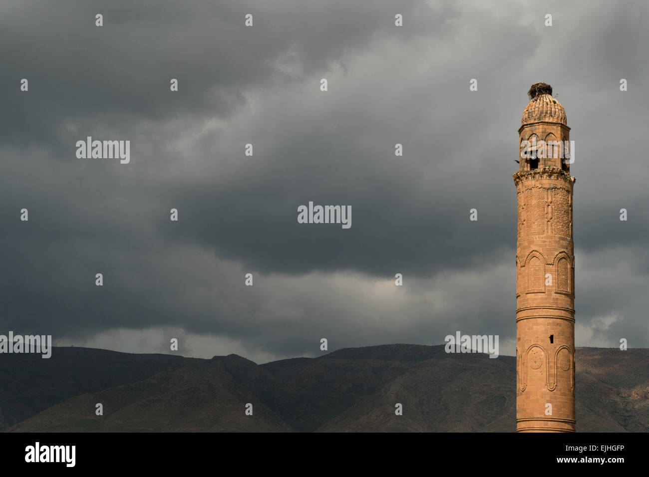 Kurdistan bird hi-res stock photography and images - Alamy