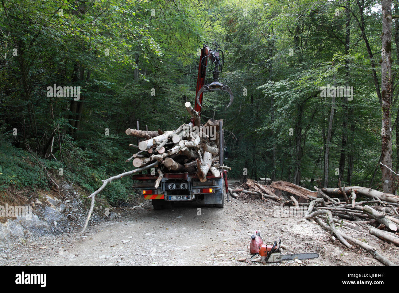 Truck hauling large tree hi-res stock photography and images - Alamy