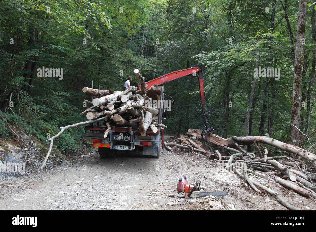 Truck hauling large tree hi-res stock photography and images - Alamy