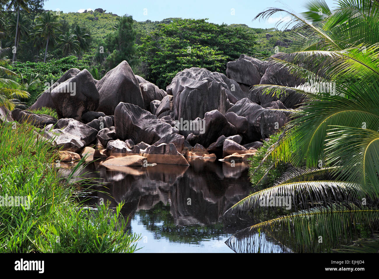 Beautiful pond on the beach Grande Anse Stock Photo - Alamy