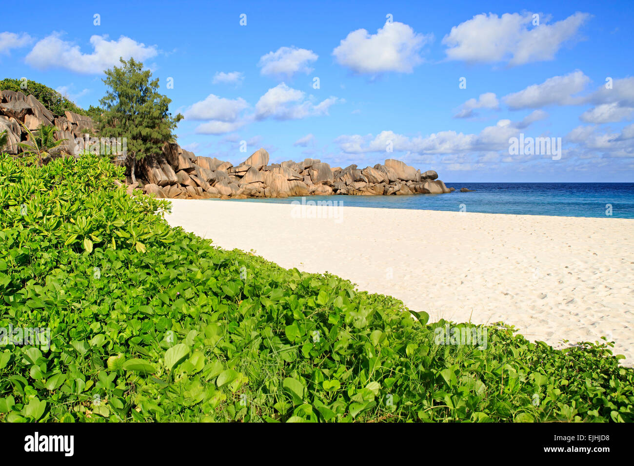 Beautiful beach Grande Anse Stock Photo - Alamy