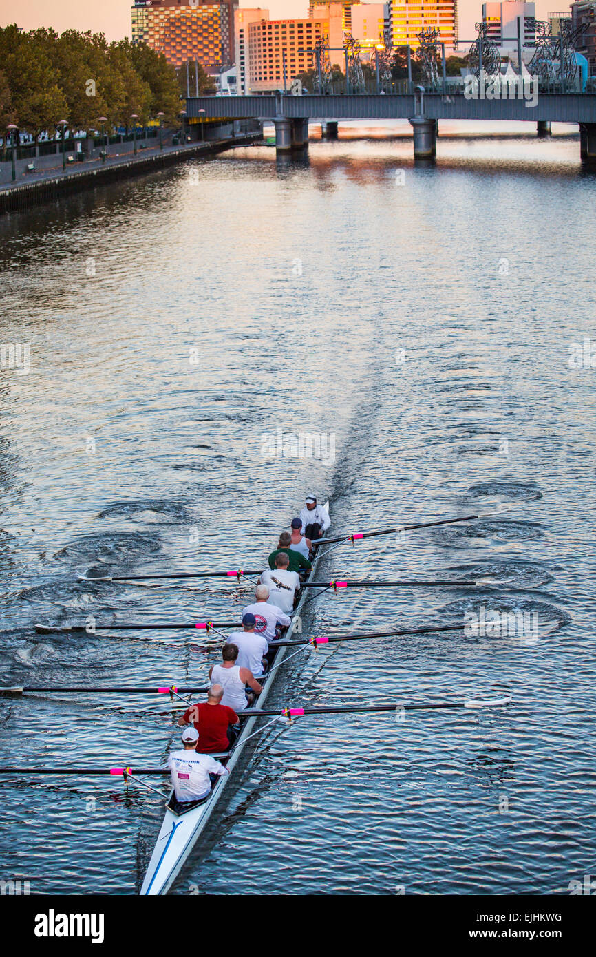 Scullers on Yarra River, Melbourne, Australia Stock Photo - Alamy