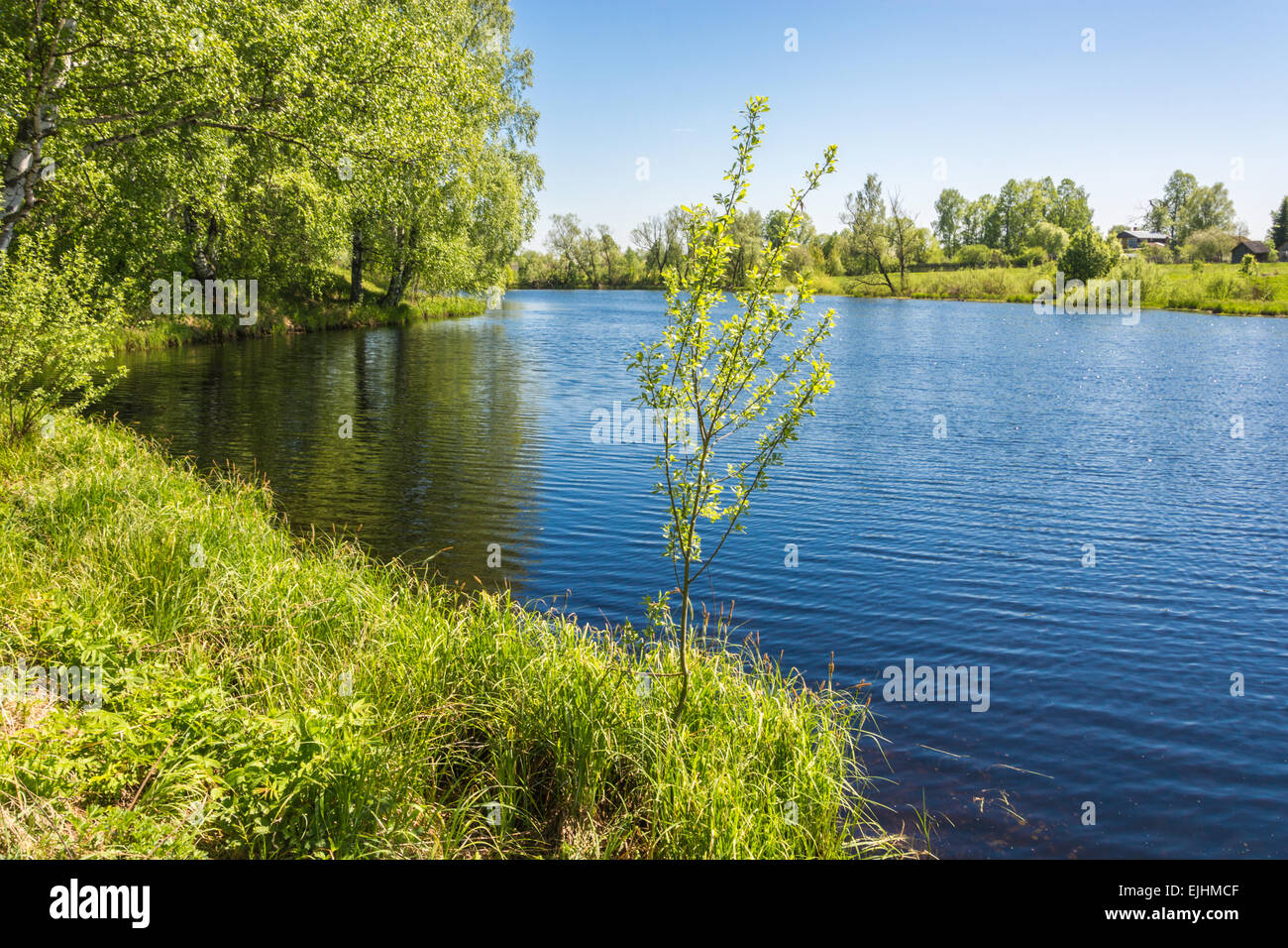 Summer landscape on a small river on a clear day Stock Photo - Alamy