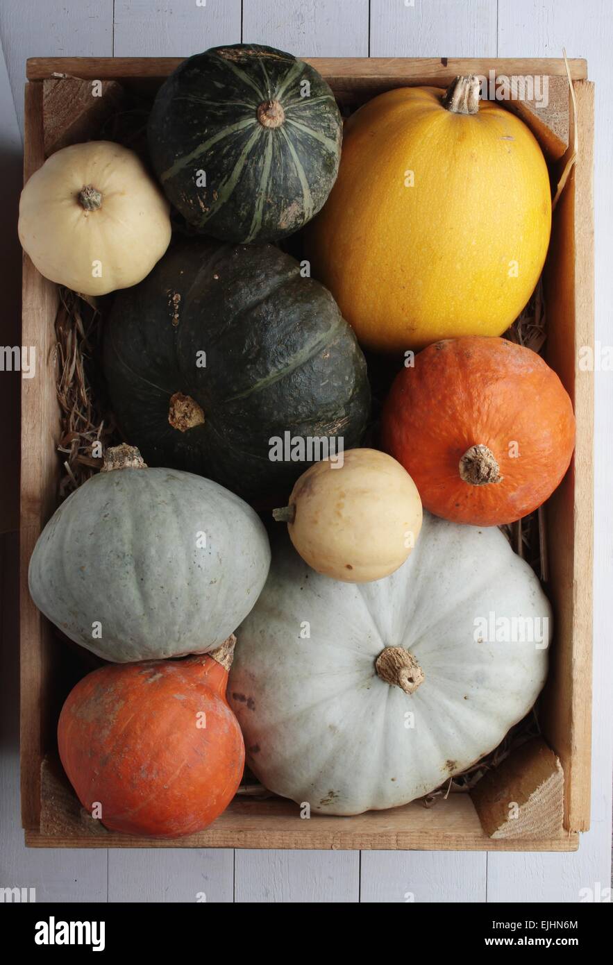 squash pumpkin selection Stock Photo - Alamy