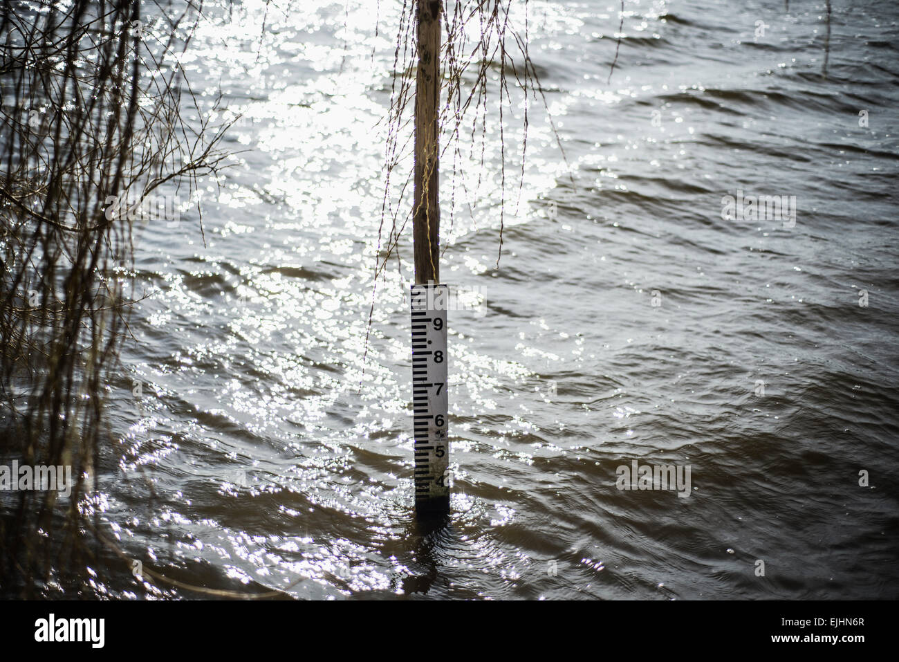 Water level measuring stick in the lake at Ferry Meadows Nene Park in ...