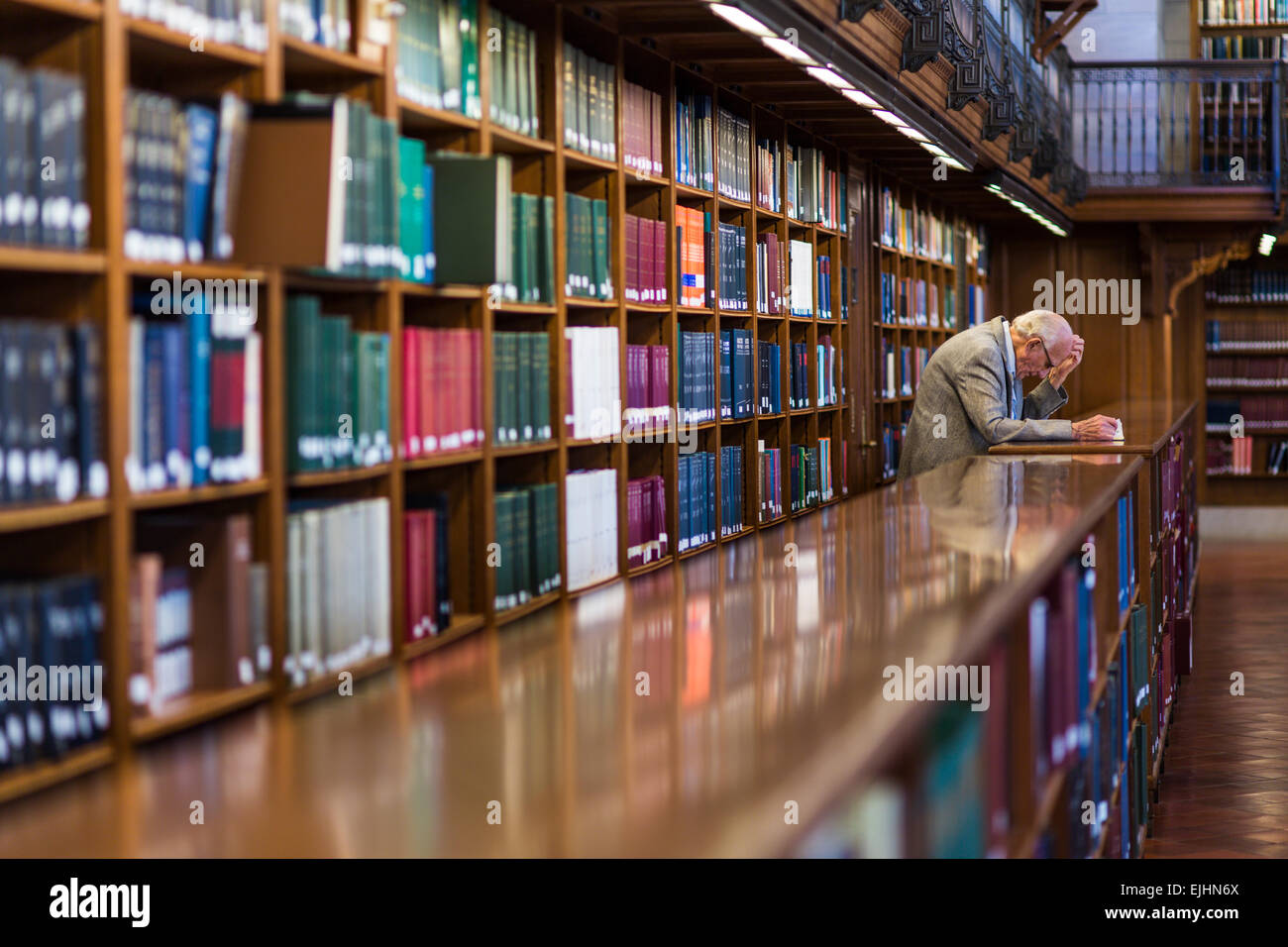 Man reading in New York Public Library, New York City, USA Stock Photo ...