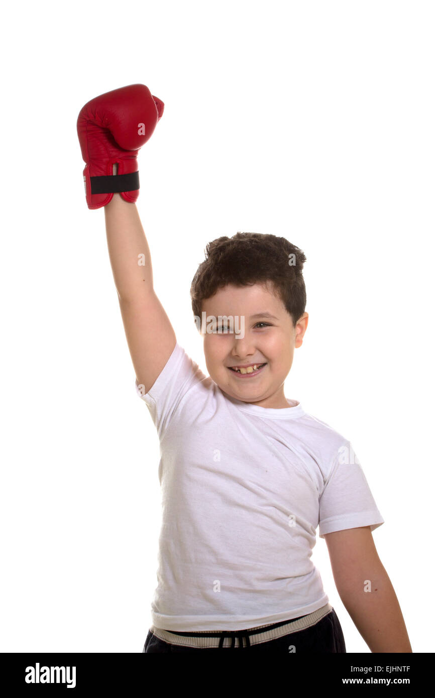 Portrait of the young boxer training isolated white background Stock ...