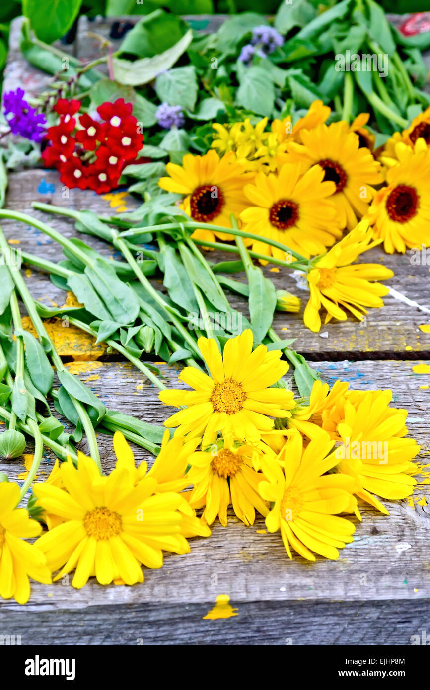 Calendula yellow on older boards Stock Photo - Alamy