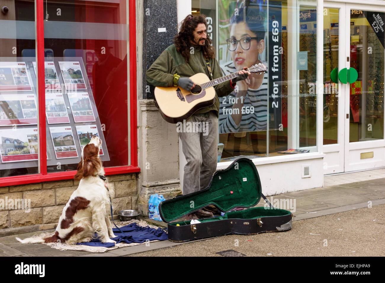 Singing dog hi-res stock photography and images - Alamy