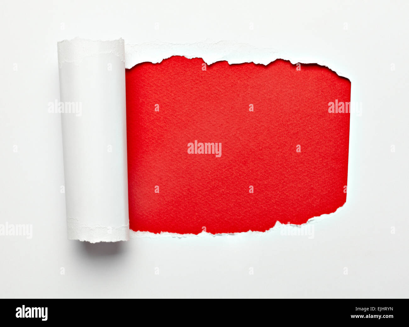 close up of a curled paper on white background Stock Photo - Alamy