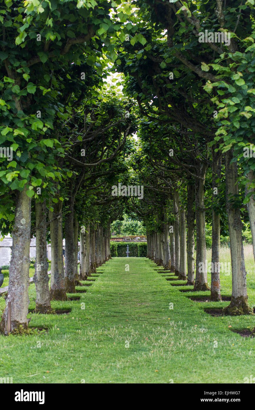 Fountain trees hi-res stock photography and images - Alamy