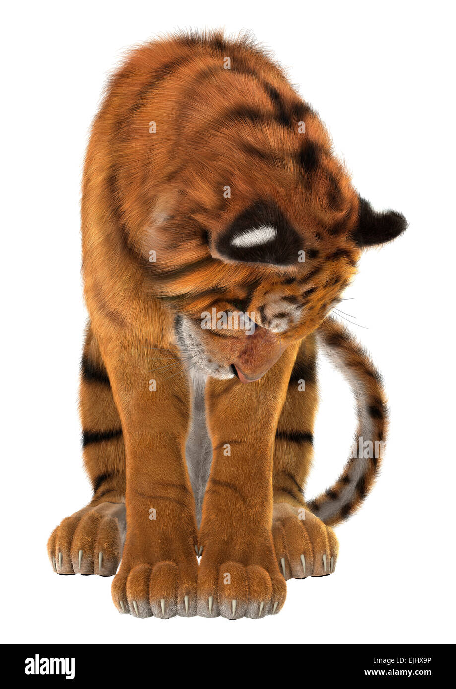 3D digital render of a sitting tiger isolated on white background Stock ...