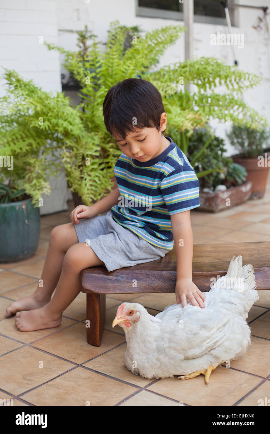 Preschool aged boy patting his pet chicken on the back Stock Photo - Alamy