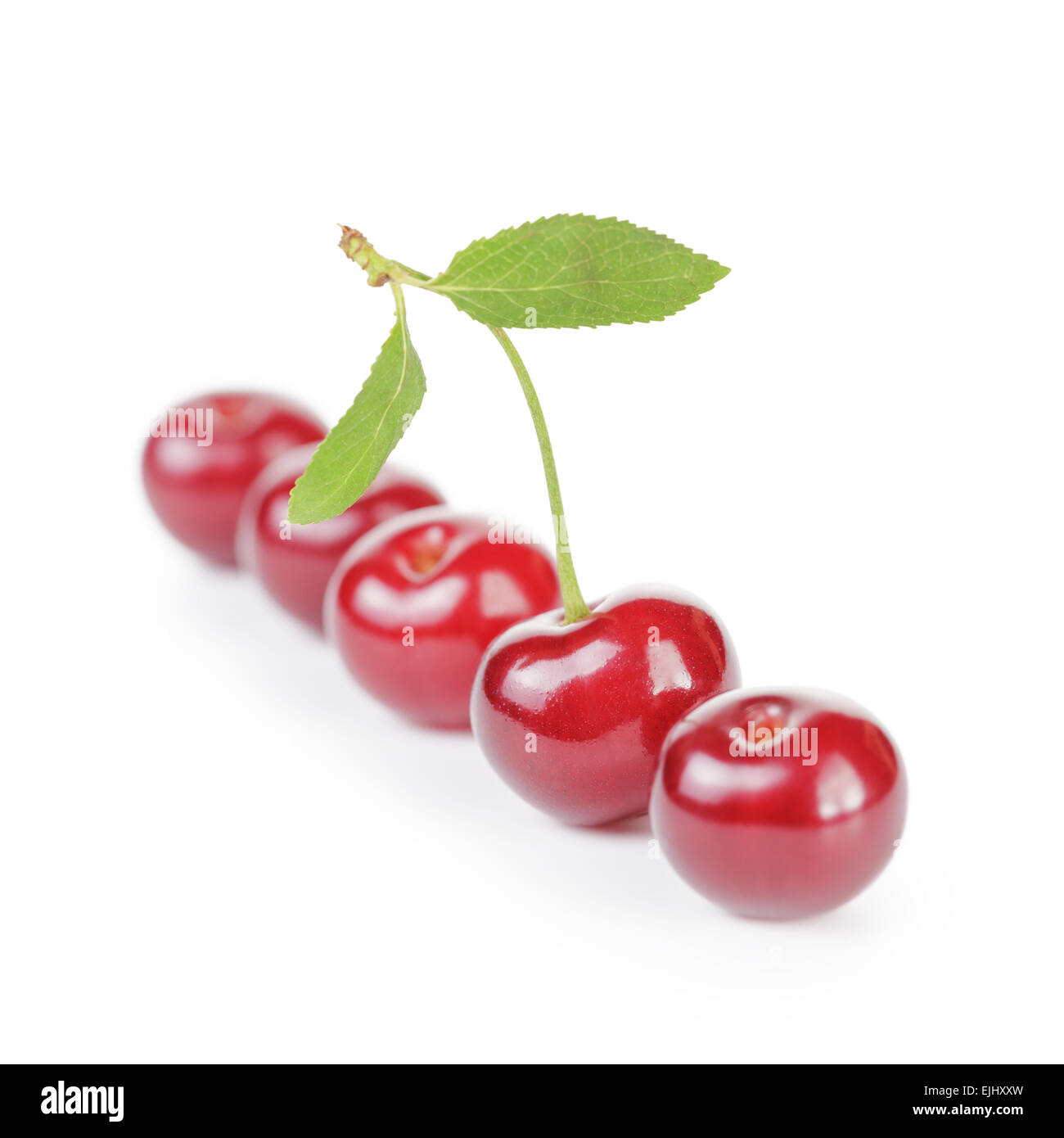 ripe cherries in a row one with stem and leaf isolated Stock Photo - Alamy