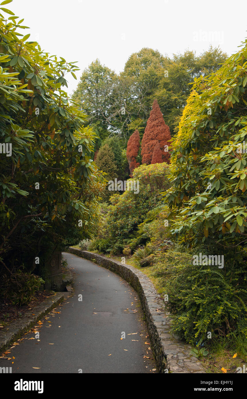 Walking Path in Tollymore Forest Park, Northern Ireland Stock Photo - Alamy