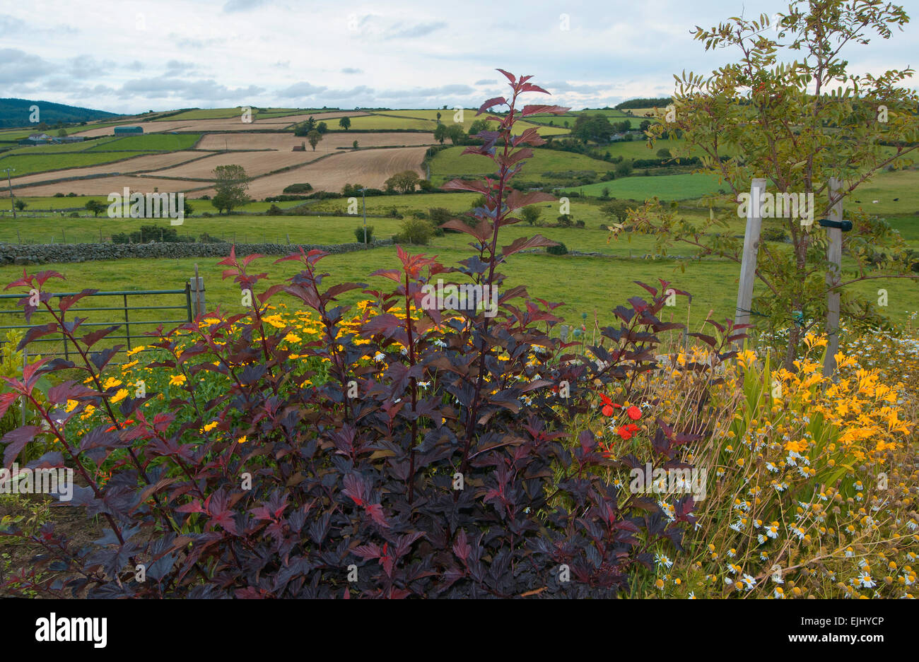 County down countryside hi-res stock photography and images - Alamy