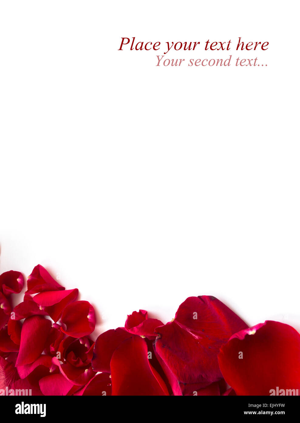 Rose Petals Border Stock Photo - Alamy