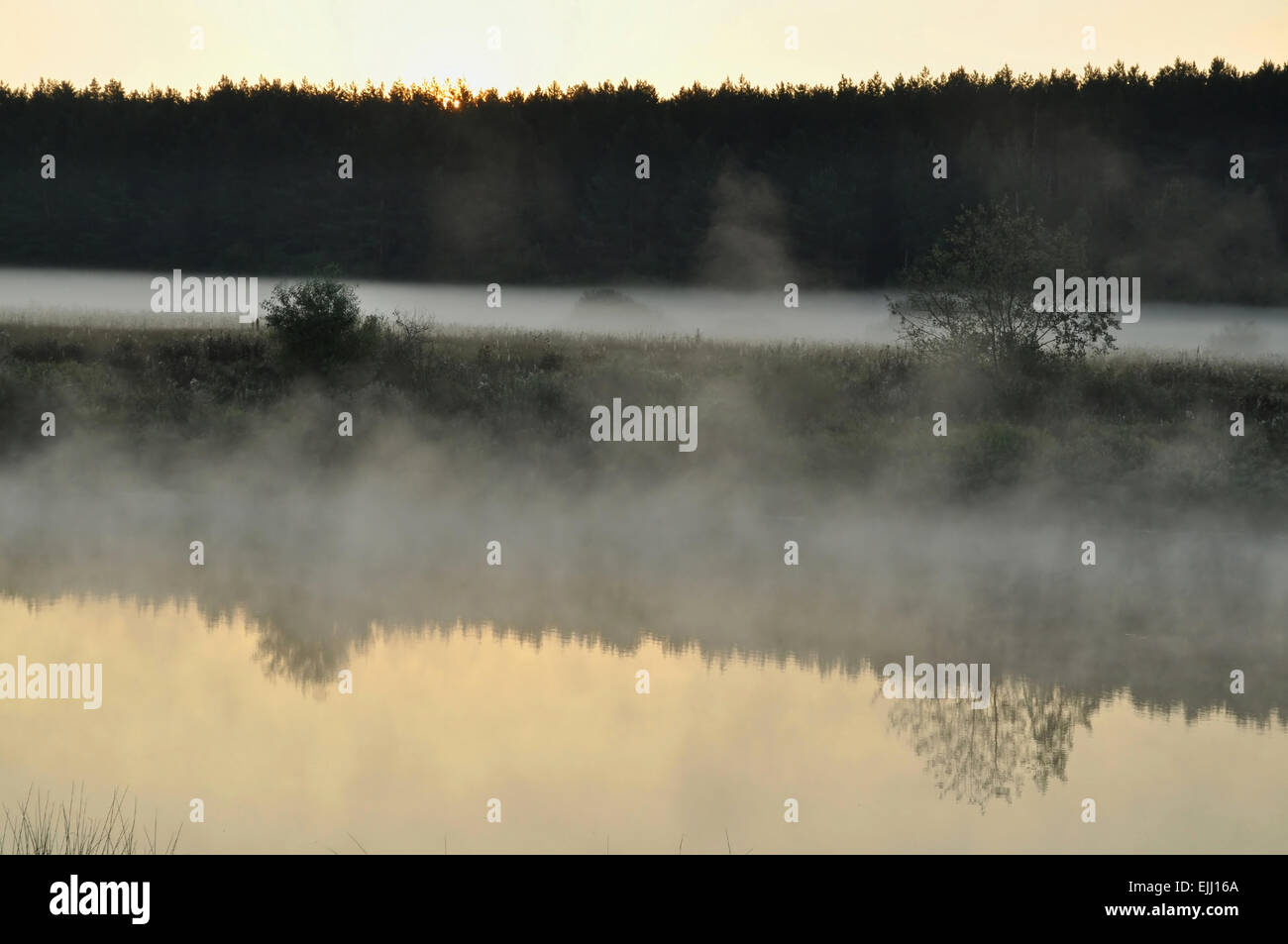 Fog over the river at sunrise Stock Photo - Alamy