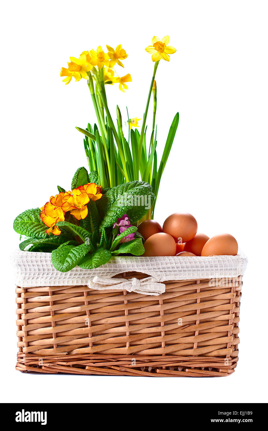 basket with spring flowers and eggs isolated on white Stock Photo - Alamy