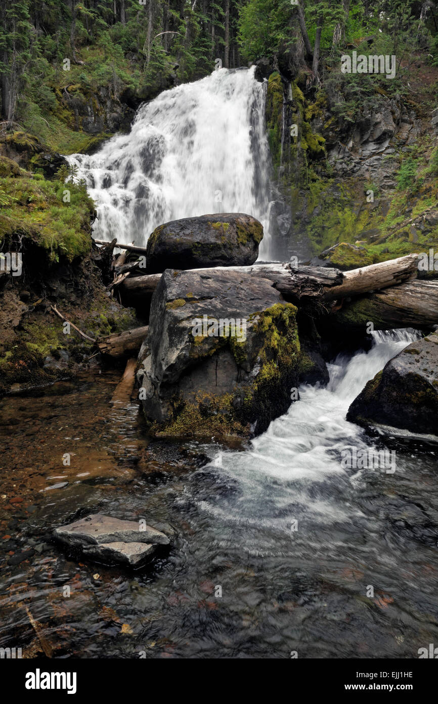 Deschutes national forest hi-res stock photography and images - Alamy