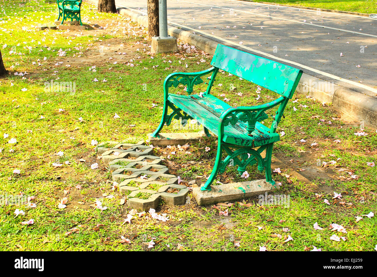 Bench in the park Stock Photo - Alamy