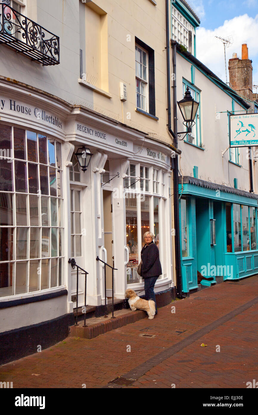 Lady and dog hi-res stock photography and images - Alamy