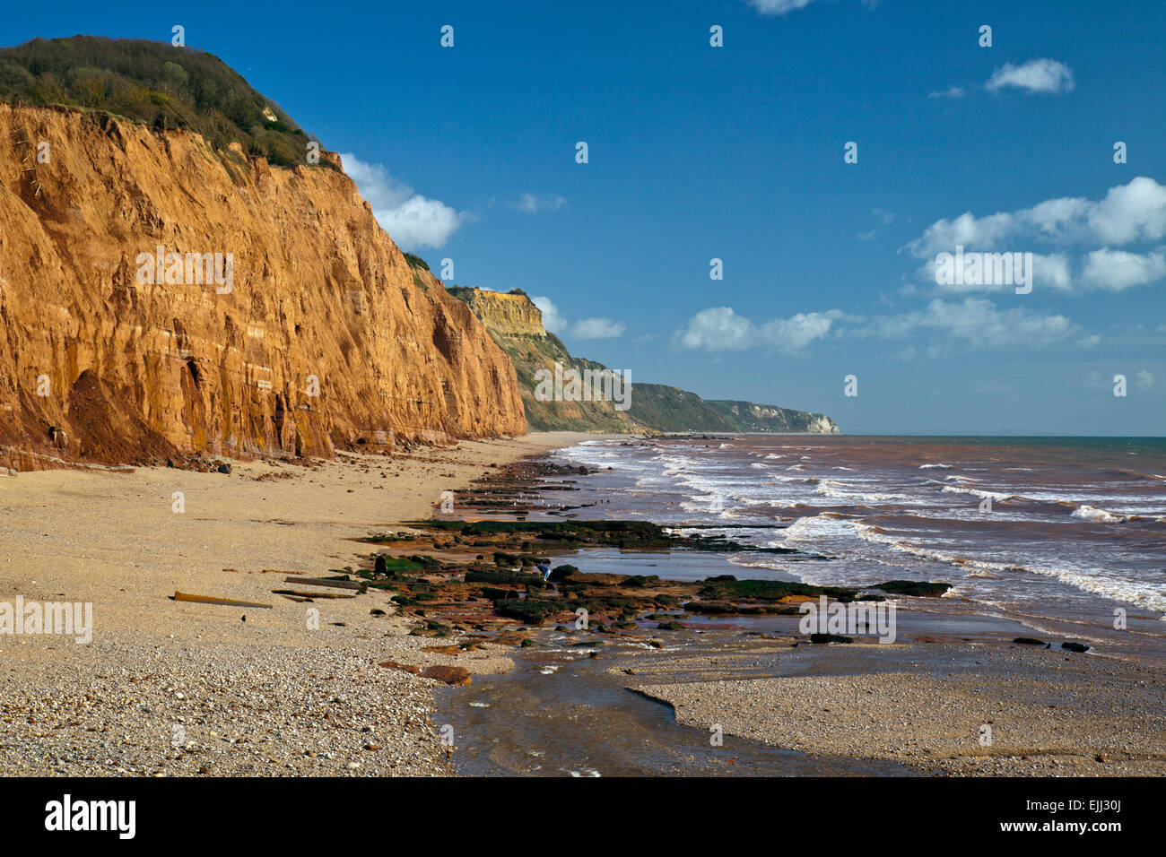 Red sandstone cliffs of the Jurassic Coast at Sidmouth, Devon, England ...