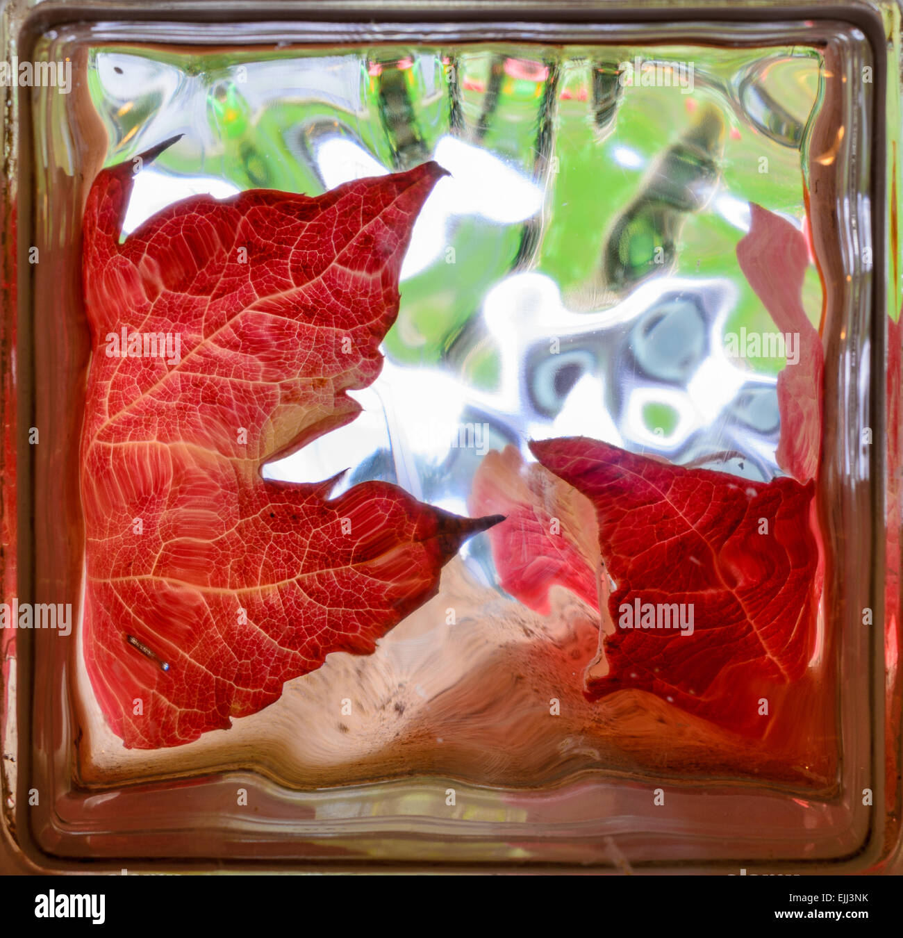 Brick through window hi-res stock photography and images - Alamy