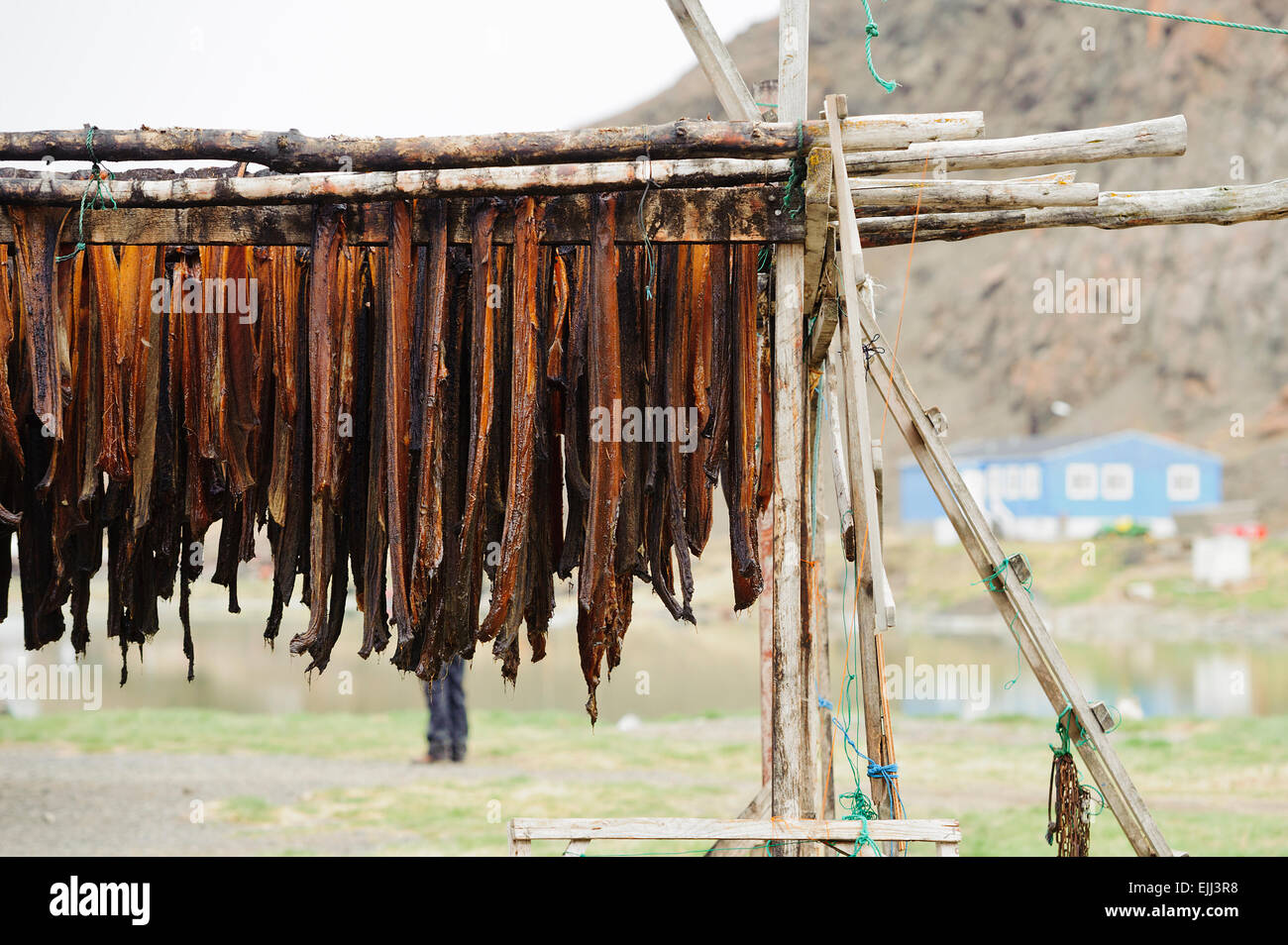 Traditional fish open air fish drying hi-res stock photography and ...