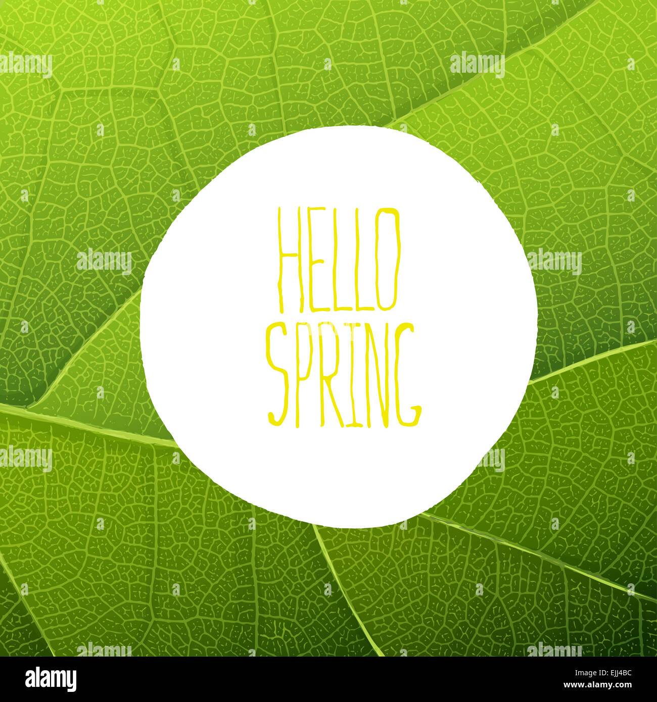 Hello Spring Text on Green Leaf Texture Stock Photo - Alamy