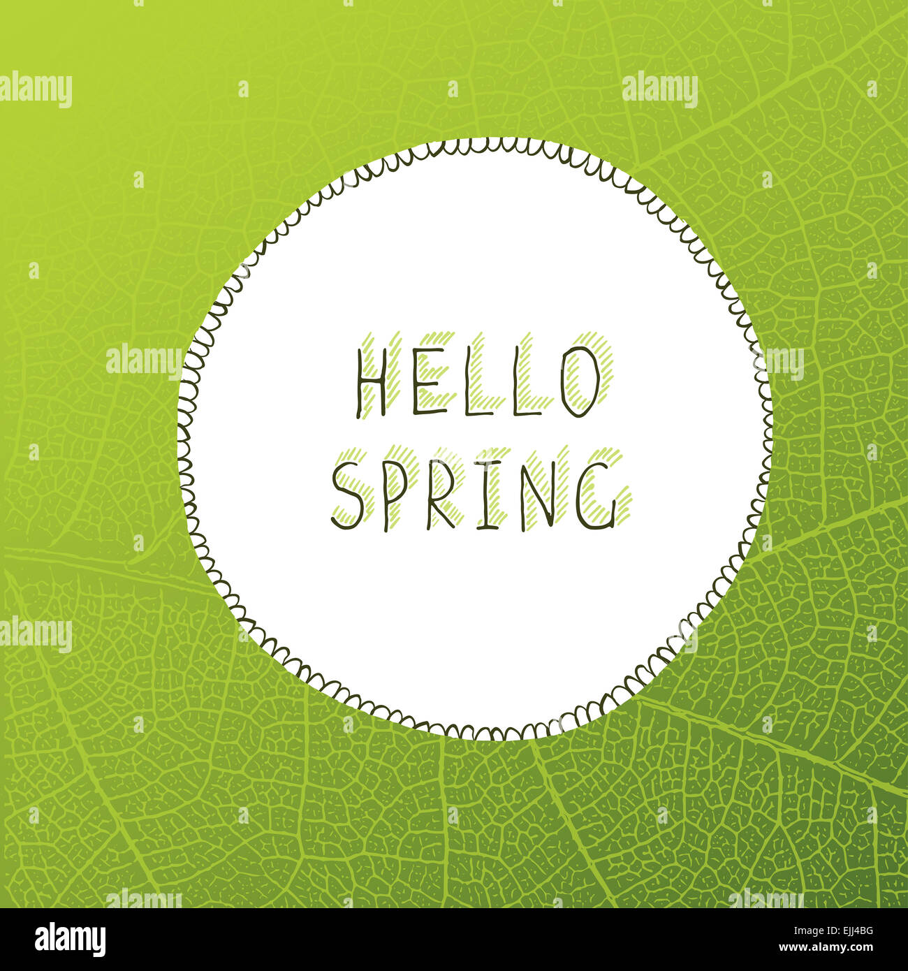 Hello Spring Text on Green Leaf Texture Stock Photo - Alamy
