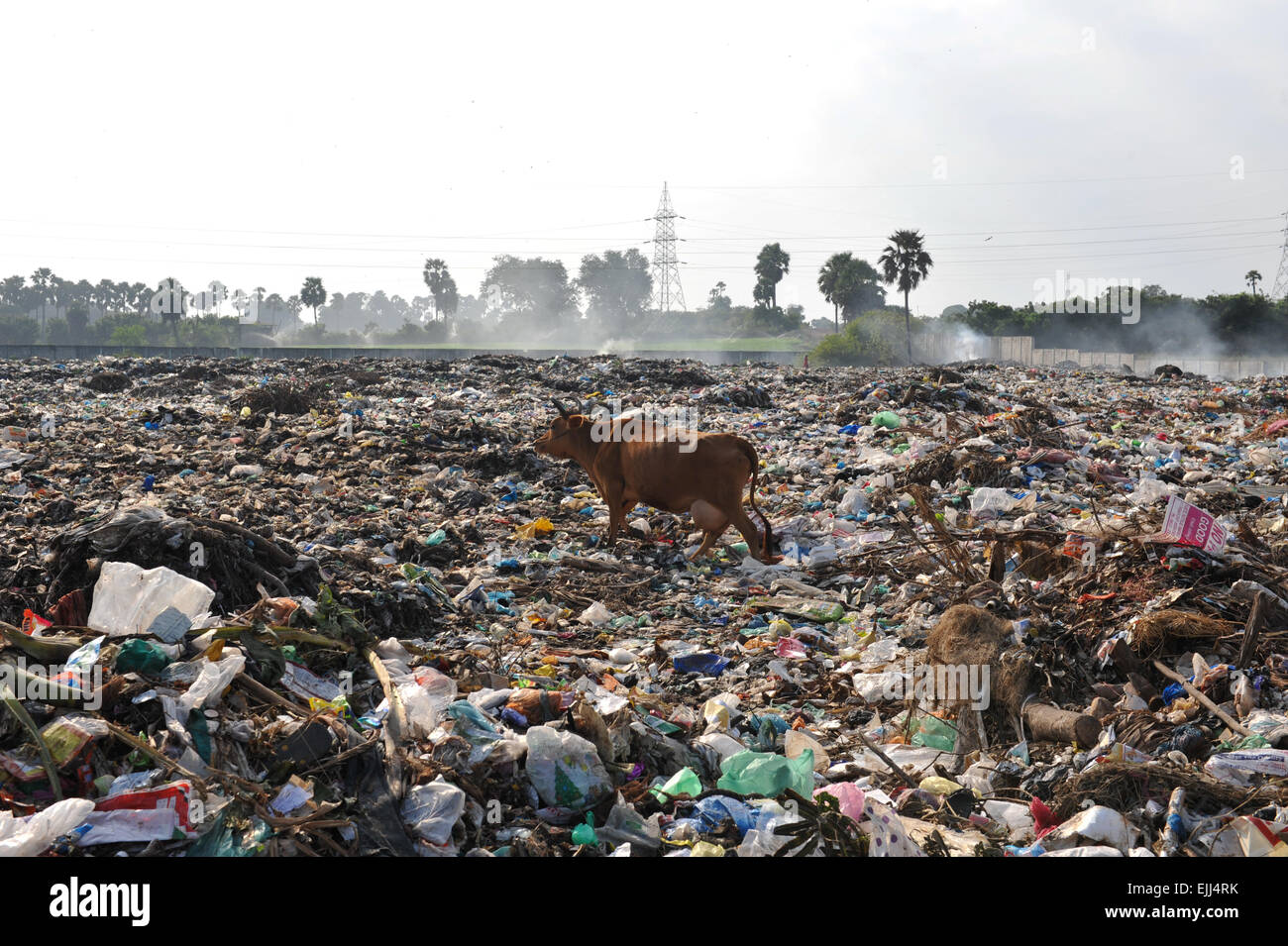Garbage dump india hi-res stock photography and images - Alamy
