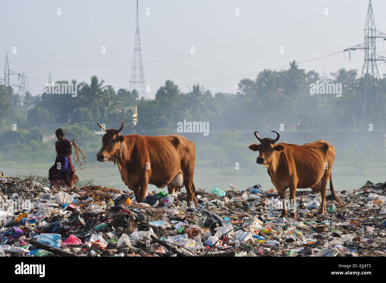 India garbage hi-res stock photography and images - Alamy