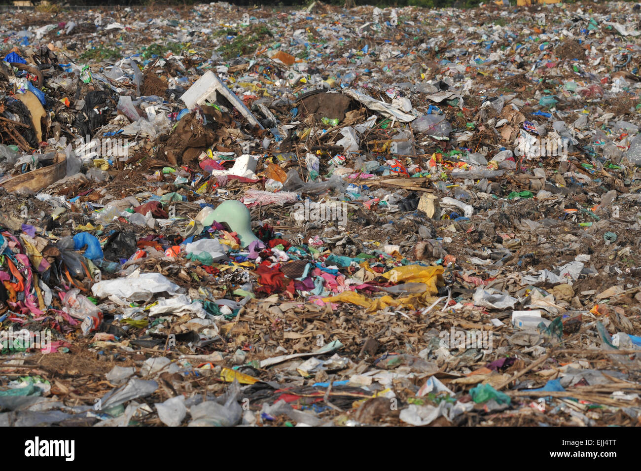 Landfill india hi-res stock photography and images - Alamy