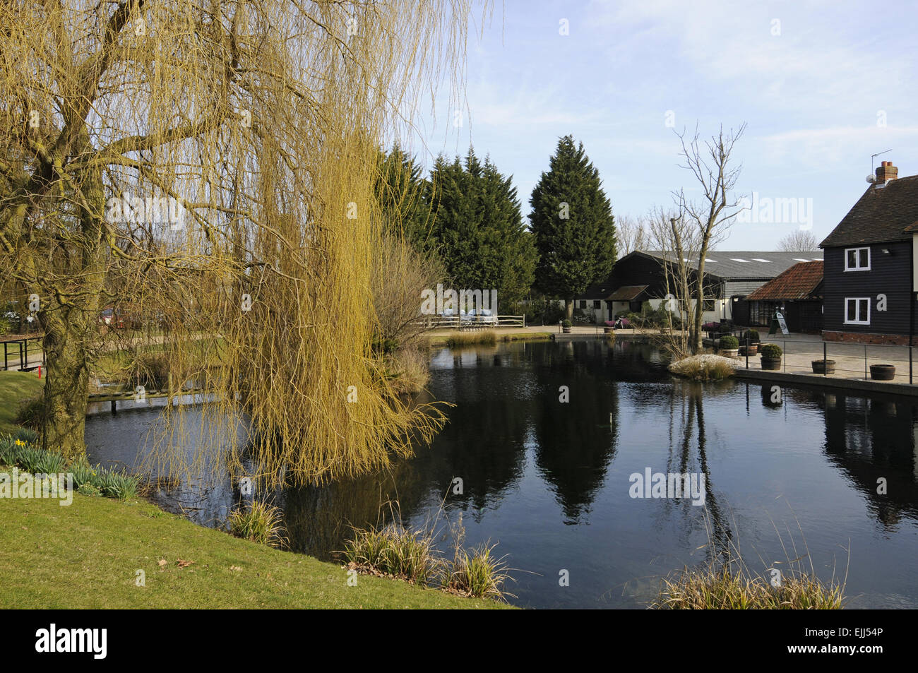 Ongar essex hi-res stock photography and images - Alamy