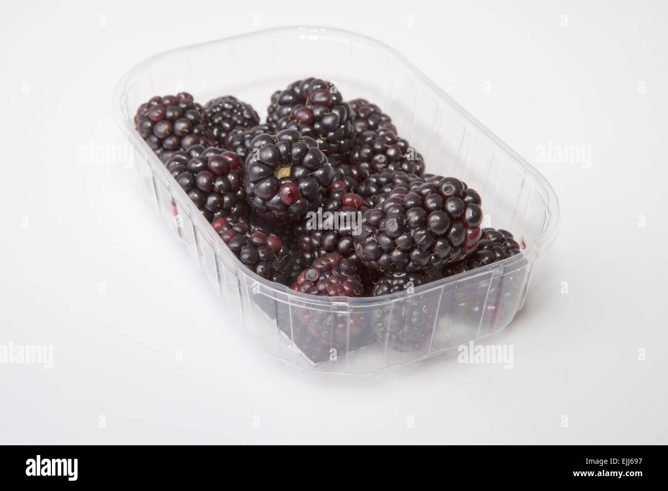 Container of blackberries hi-res stock photography and images - Alamy