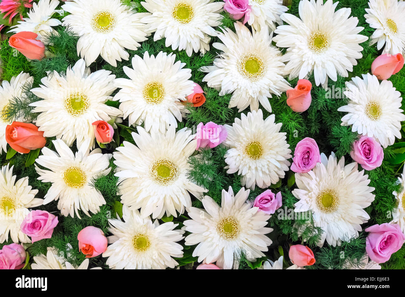A background from beautiful arrangement of flowers Stock Photo - Alamy