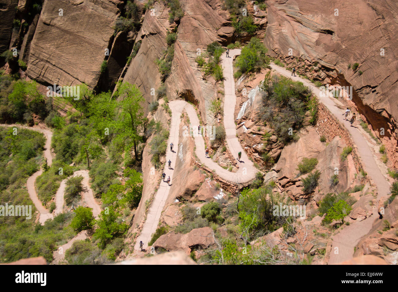 Hikers climbing switchbacks up Trail to Angels Landing Stock Photo - Alamy